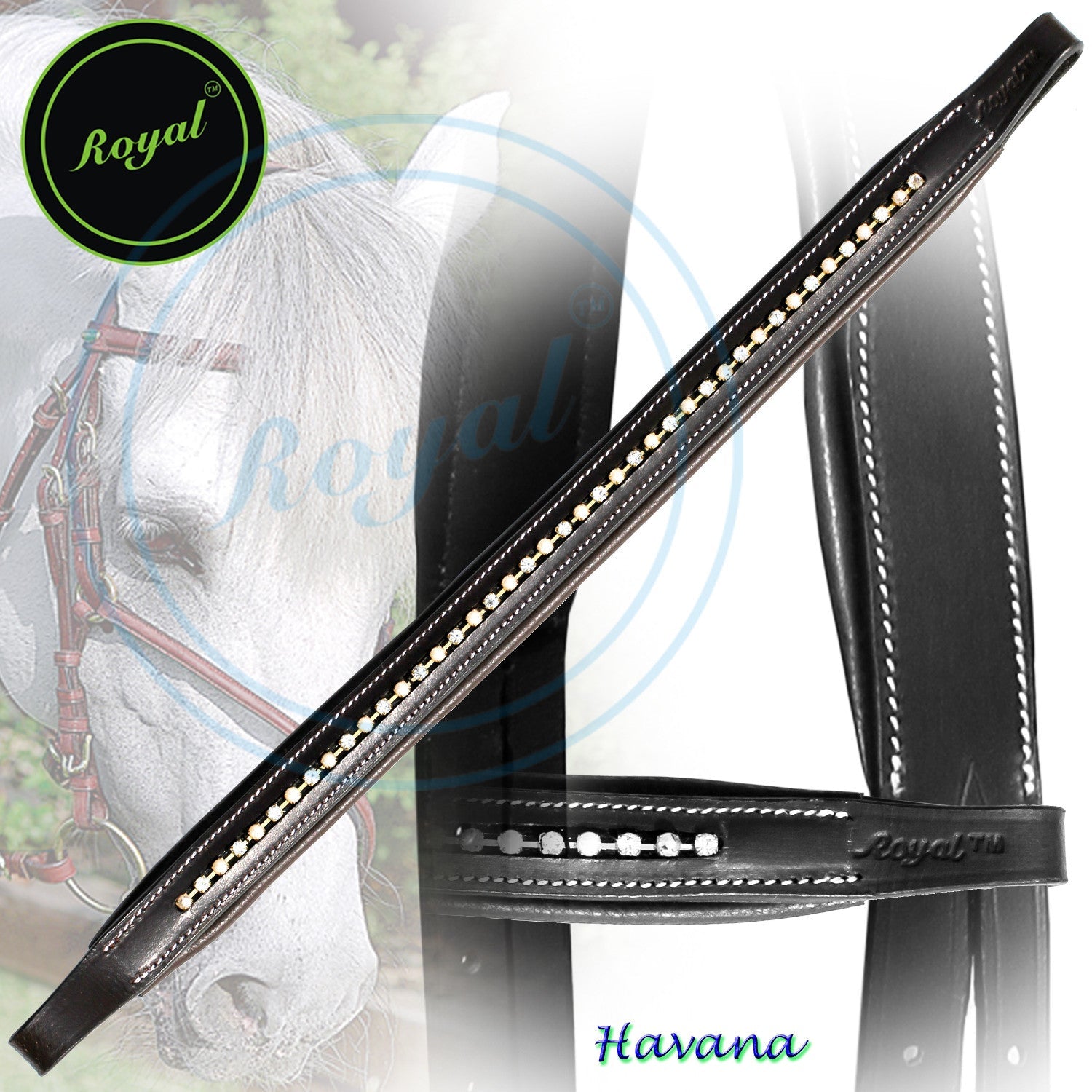 ExionPro Elegant Tiny Sparkling Crystal Padded Browband – Lazy B ...
