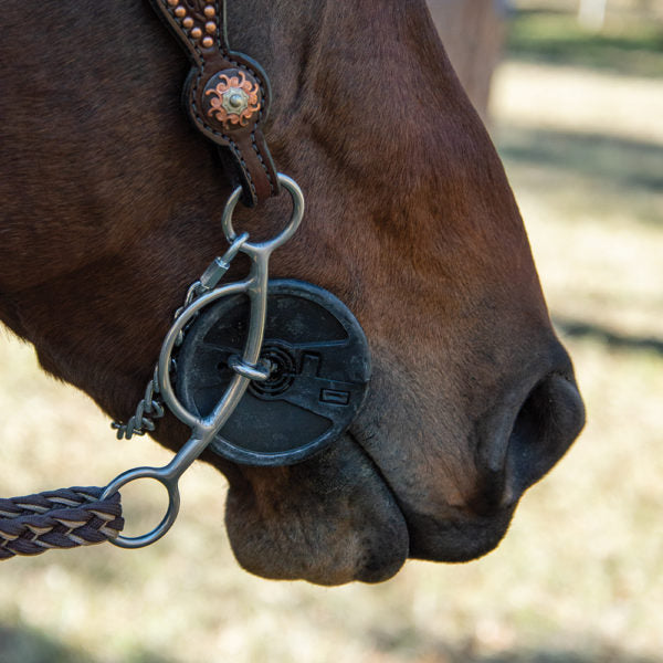 Josey Mitchell Gag - 3-Piece Dog Bone Bit – Lazy B Western Wear & Tack