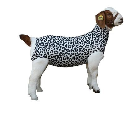 Spandex Goat Tube, Medium – Lazy B Western Wear & Tack